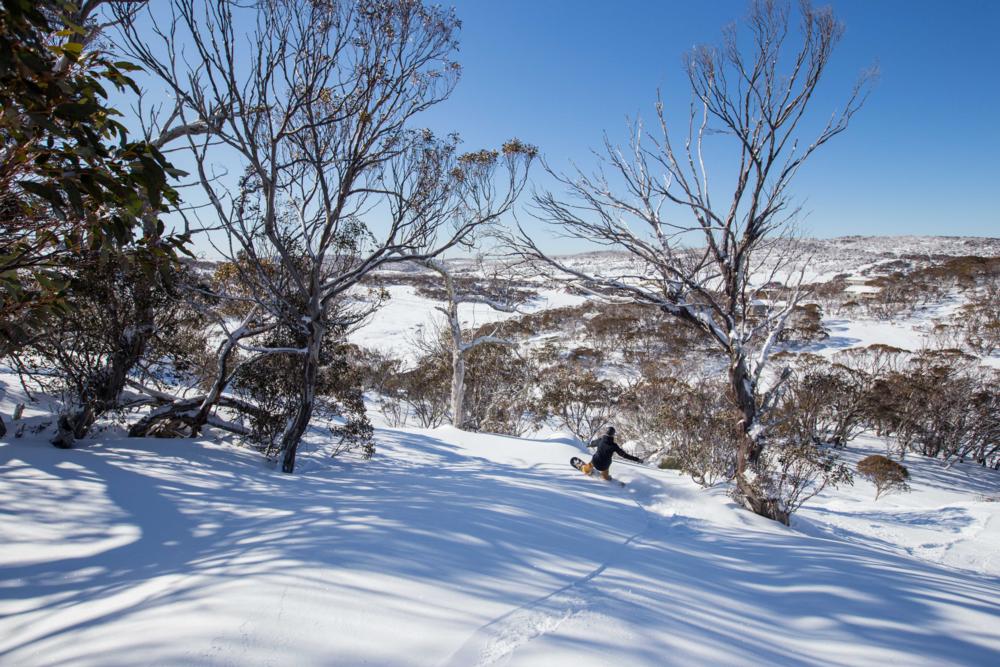 Perisher Resort Guide - World Snowboard Guide