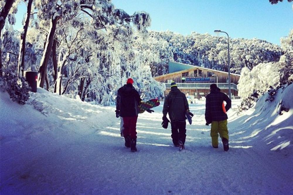 Mount Baw Baw Resort Guide - World Snowboard Guide