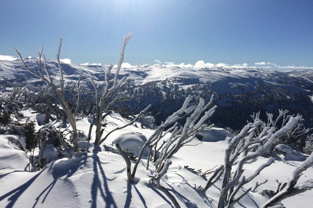 Perisher town guide - World Snowboard Guide