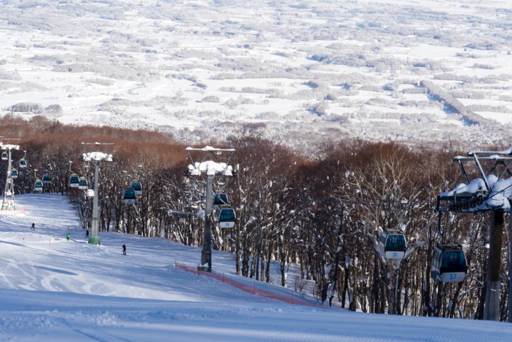 Aomori Spring Resort Guide - World Snowboard Guide