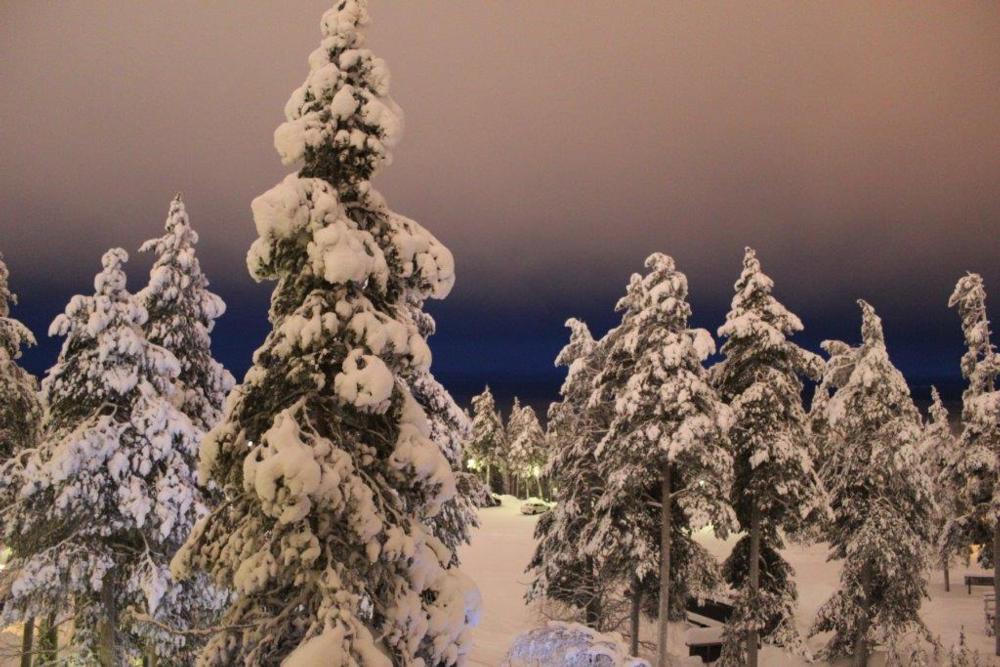 Pyha Resort Guide - World Snowboard Guide