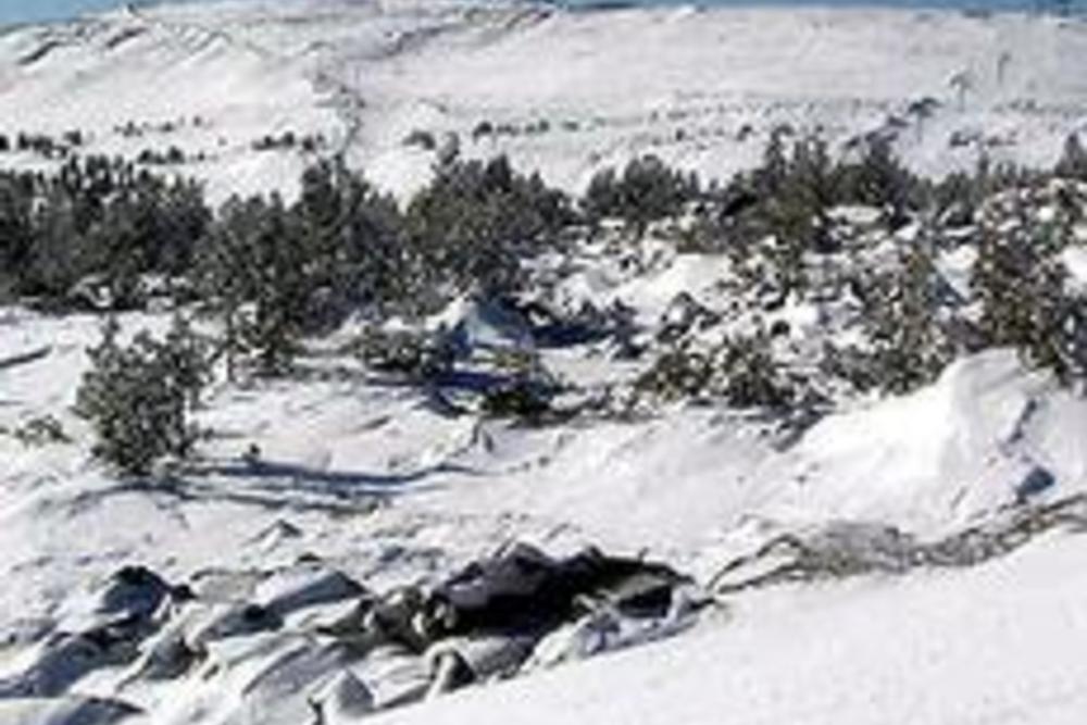Gladenkaya (Khakasiya) Resort Guide - World Snowboard Guide
