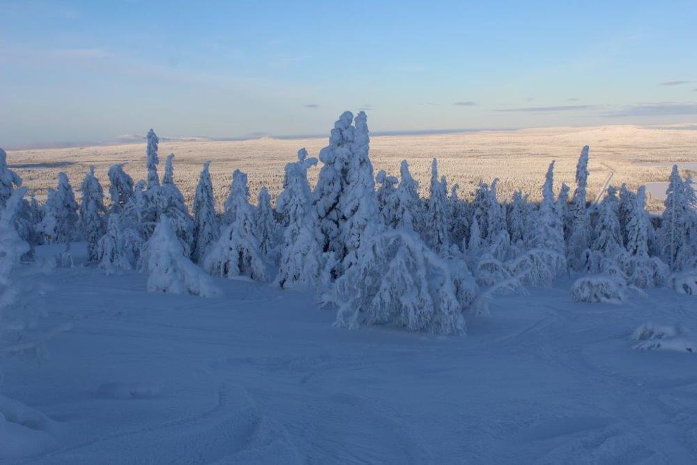 Pyha Resort Guide - World Snowboard Guide