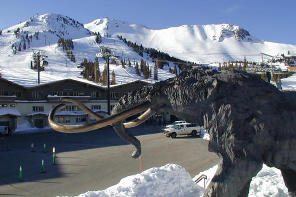 Mammoth Mountain Resort Guide - World Snowboard Guide